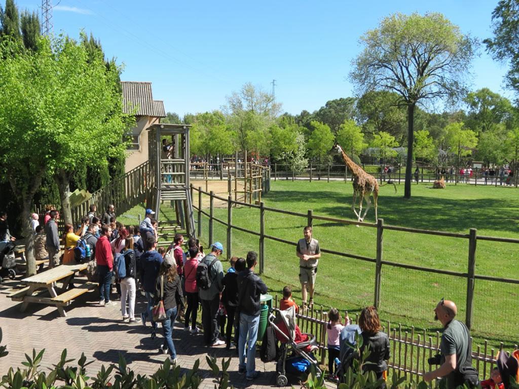 Keeper talk - Parzo zoo - Lignano Riviera 20 Aprile 2024